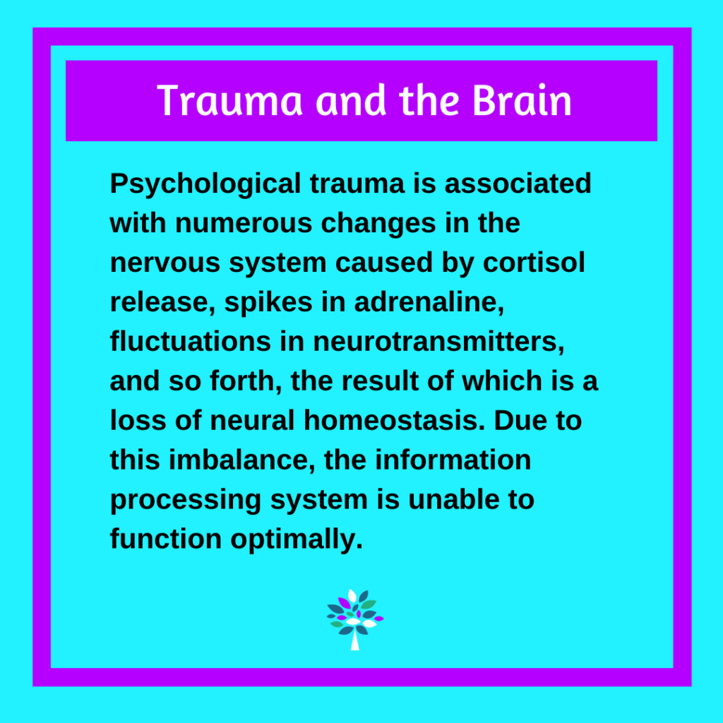 Trauma and Brain Changes - Colette Lord PhD