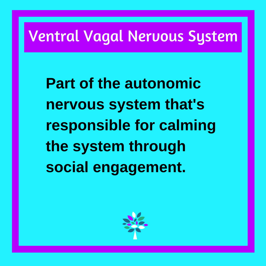 Ventral Vagal Nervous System - Colette Lord, PhD